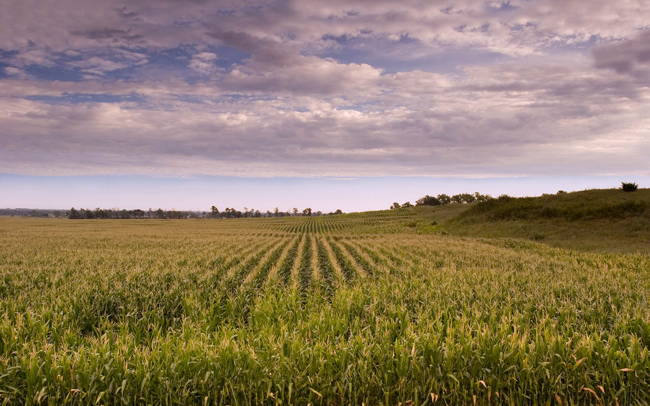 Chase County, NE - Founding Forward